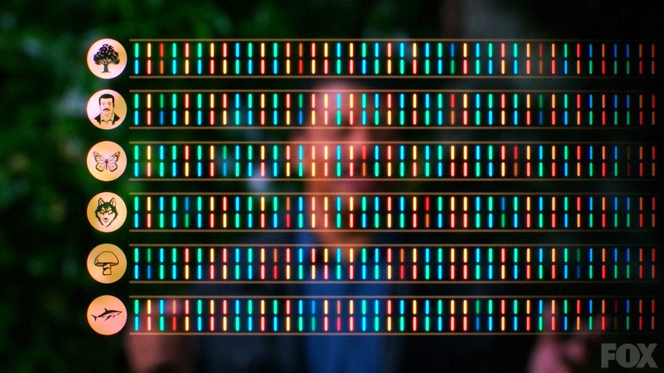 Cosmos – segundo episódio