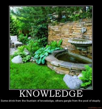 Iliteracia Americana?